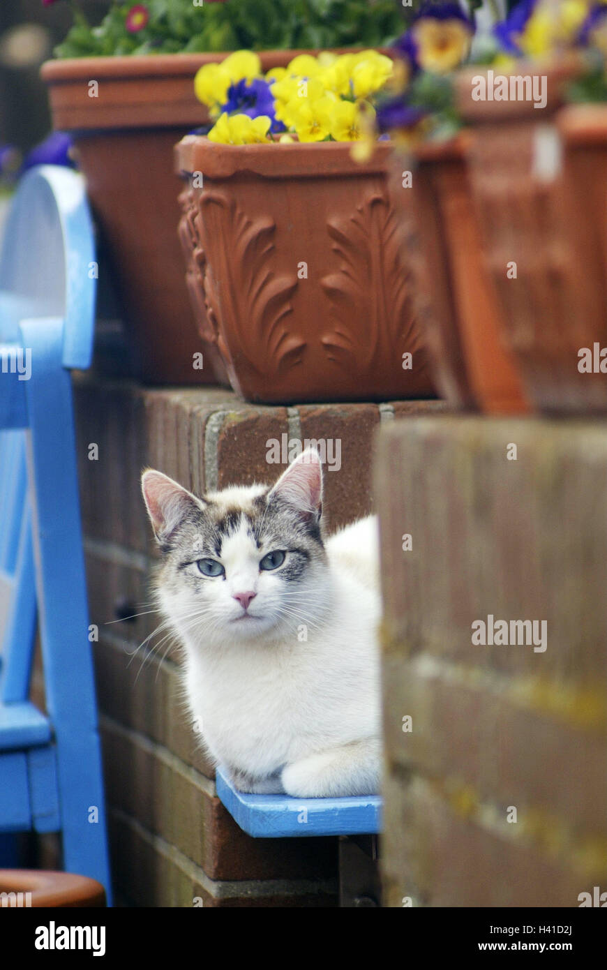 More house poorly hi-res stock photography and images - Alamy