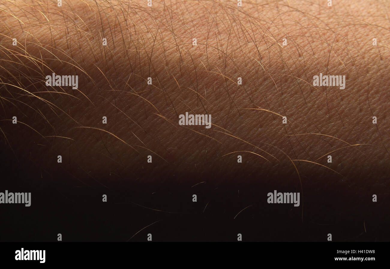 Person, arm, hairs, close up, very close, shell, surface, skin surface ...