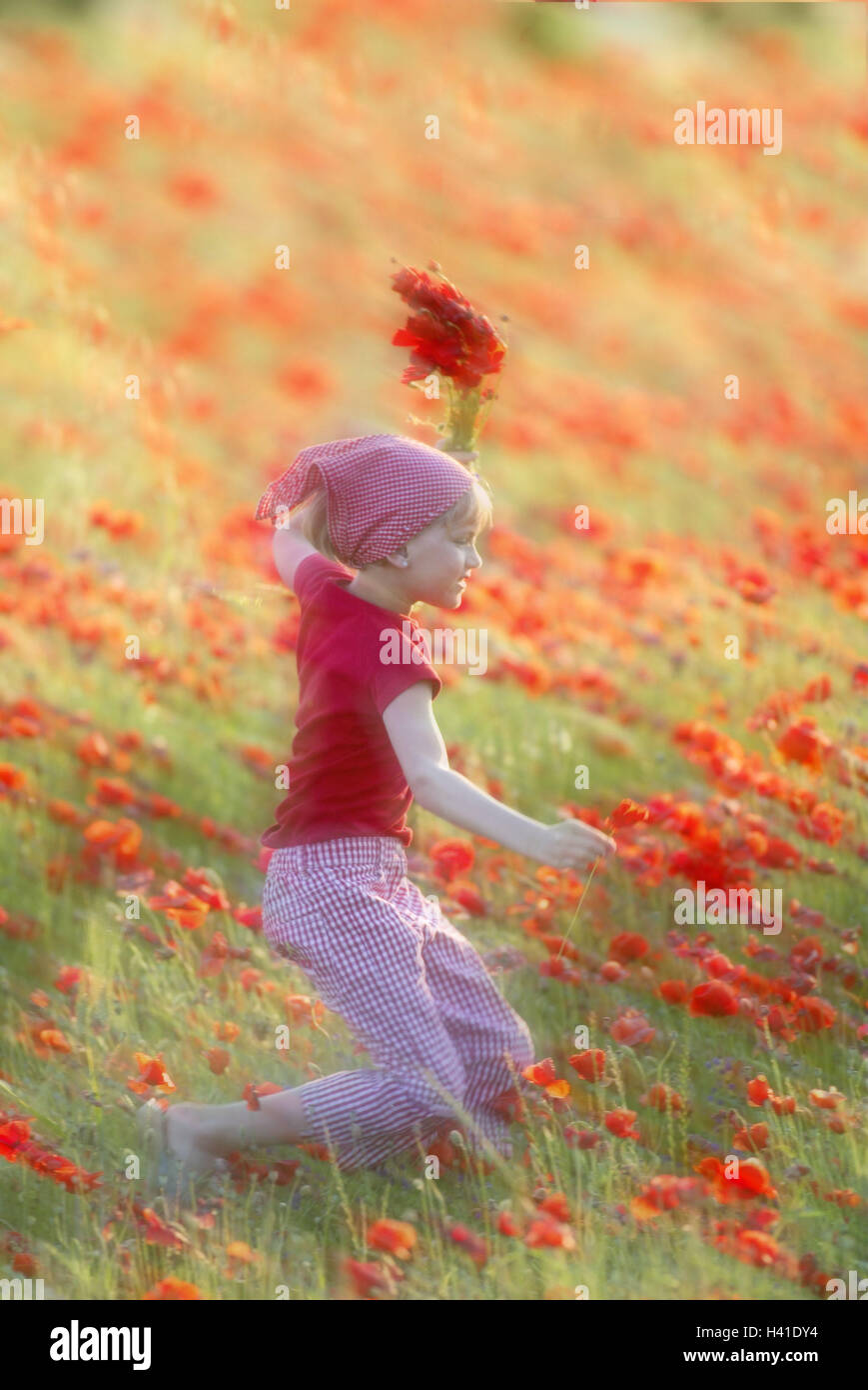 Flower meadow, girl, headscarf, poppies, run, pick blur 7 - 10 years ...