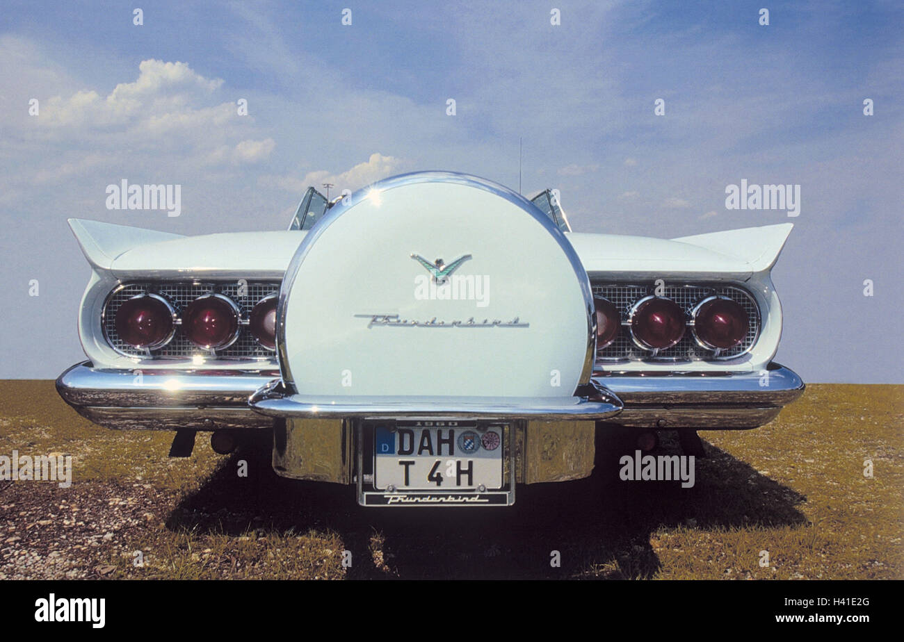 Old-timer, Ford Thunderbird, year manufacture in 1956, rear view only ...