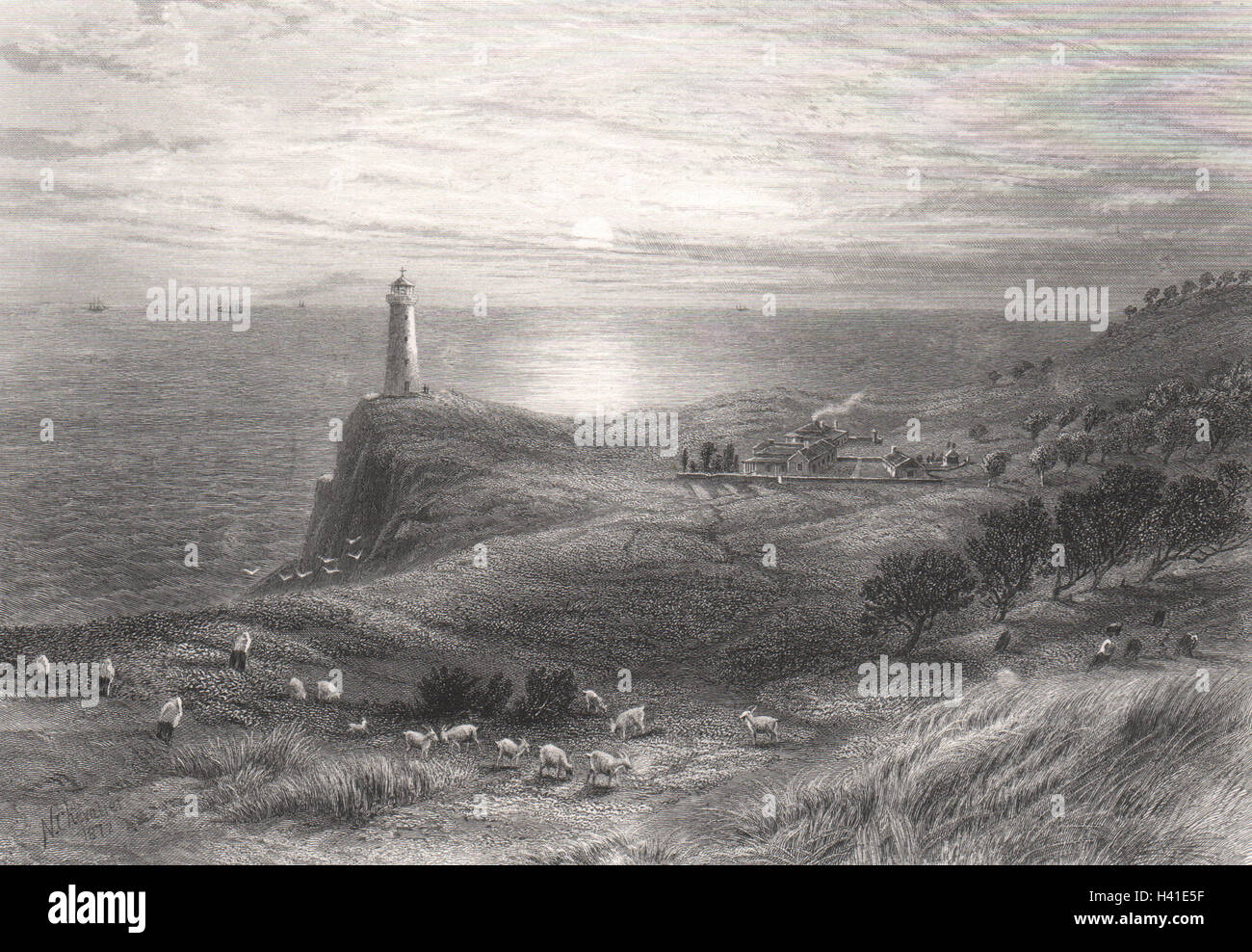 "Cape Otway, Victoria" by Edwin Carton BOOTH/Nicholas CHEVALIER ...