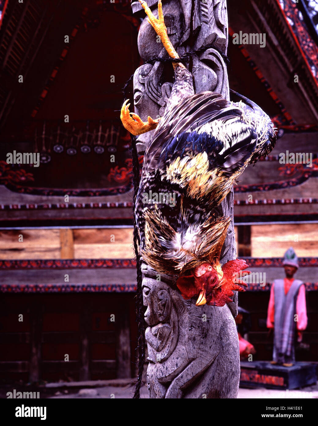 Sumatra, island Samosir, Batakhochland, Tobasee, Batak, wooden house ...