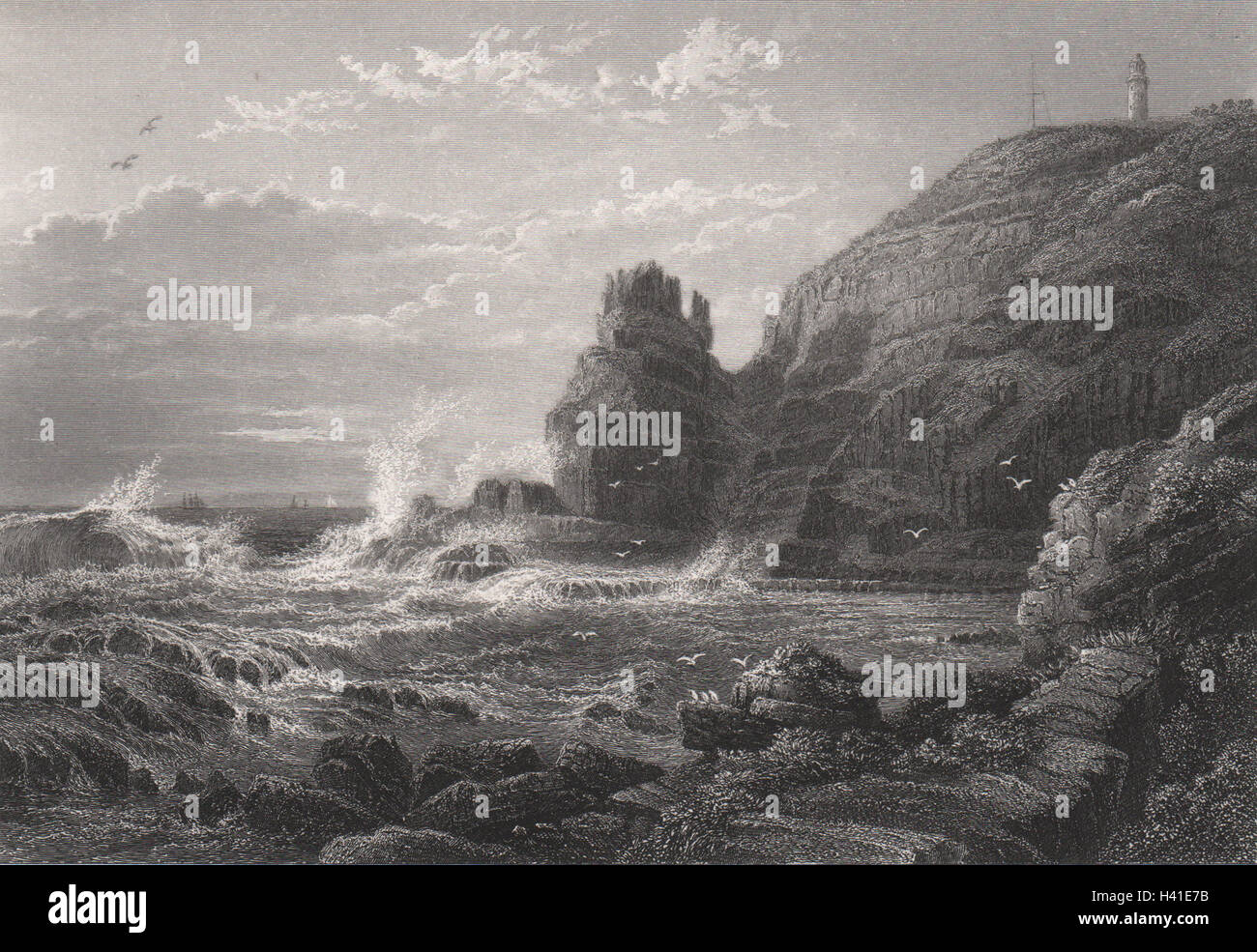 "Cape Schank, Victoria". Edwin Carton BOOTH/Nicholas CHEVALIER ...