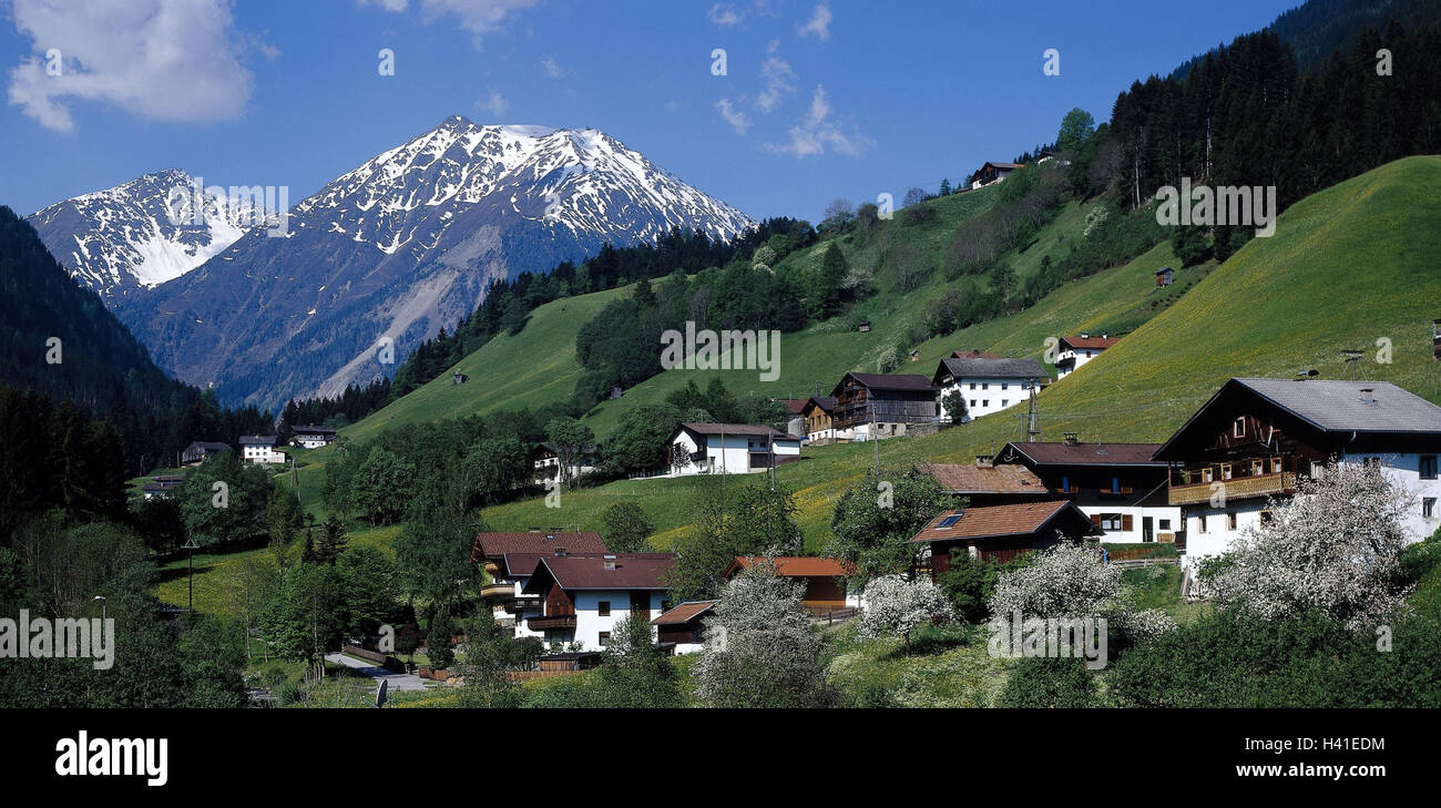 Austria, Tyrol, Sellrain, local view, apple-trees, blossom, outside ...