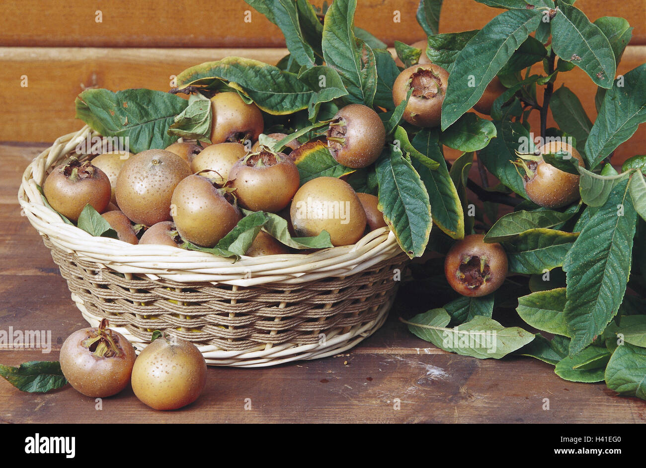 Real medlars hi-res stock photography and images - Alamy
