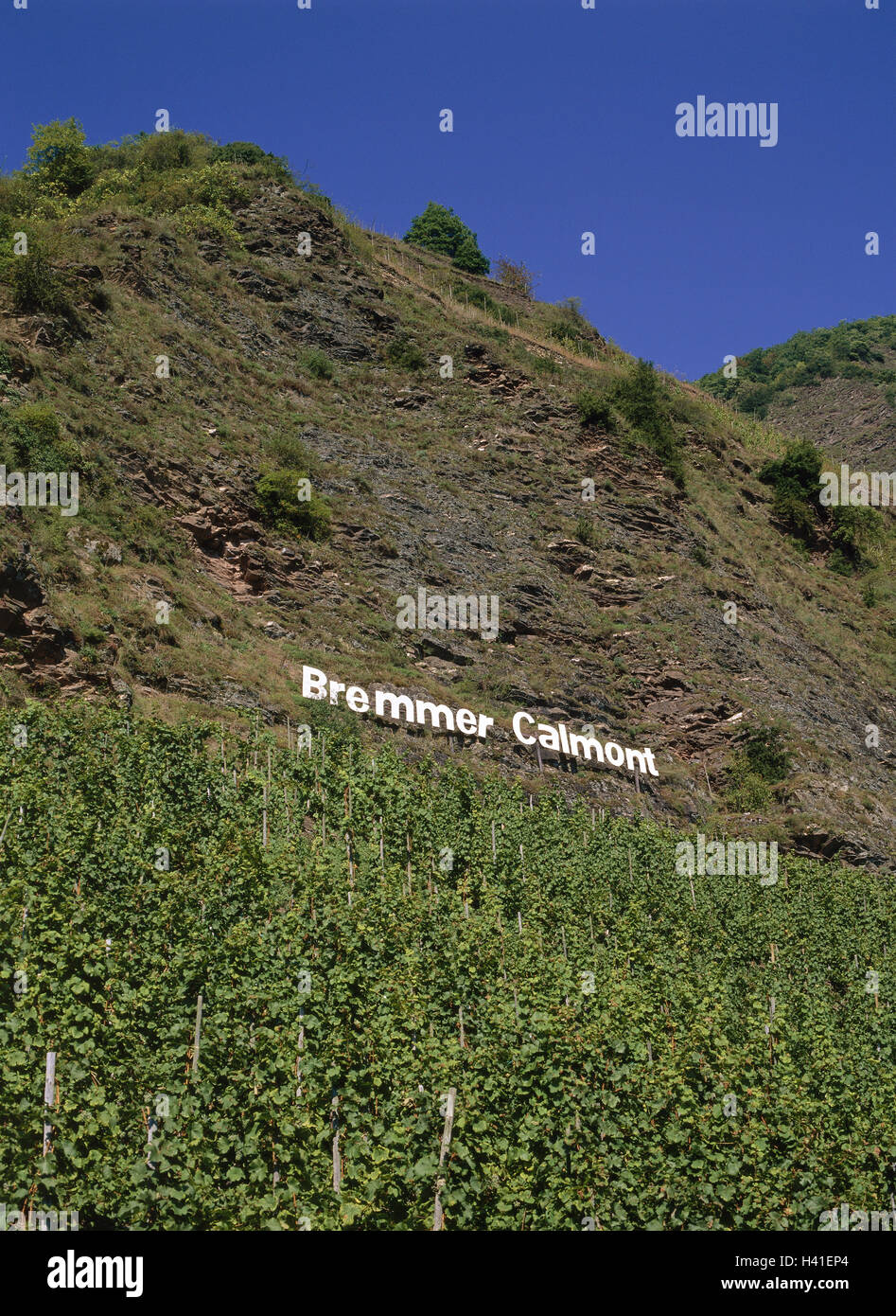 Germany, Rhineland-Palatinate, Bremmer Calmont, vineyard, stroke ...
