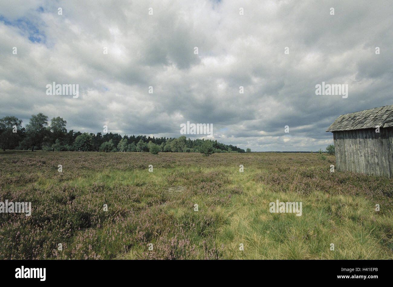 North german lowland hi-res stock photography and images - Alamy