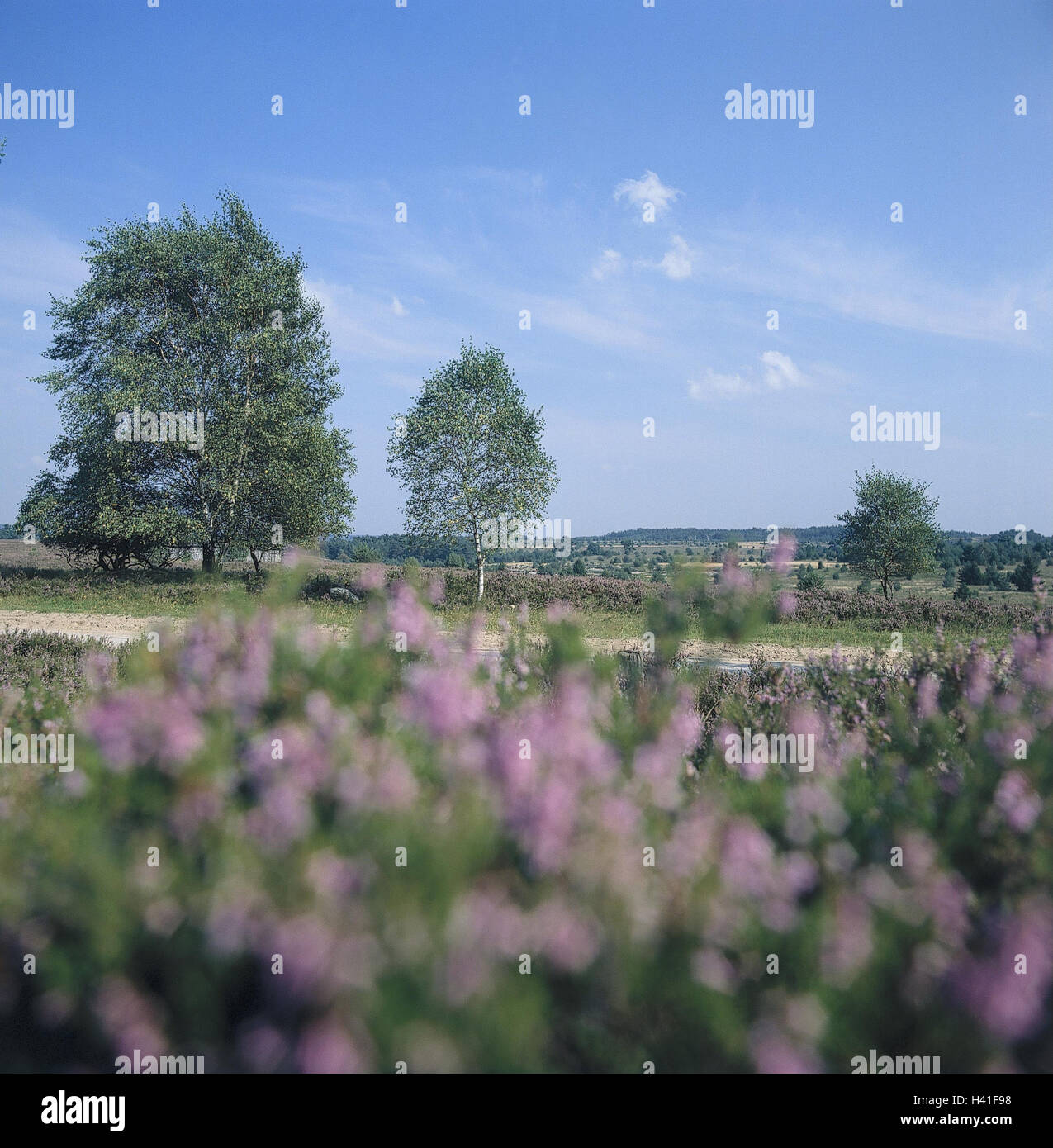 North german lowland hi-res stock photography and images - Alamy