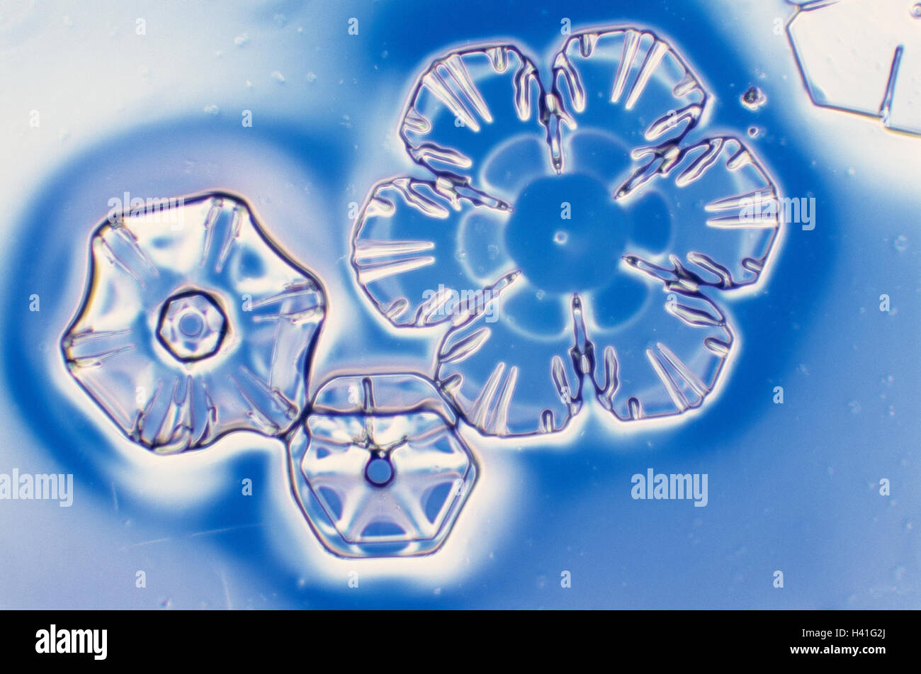 Ice Under Microscope