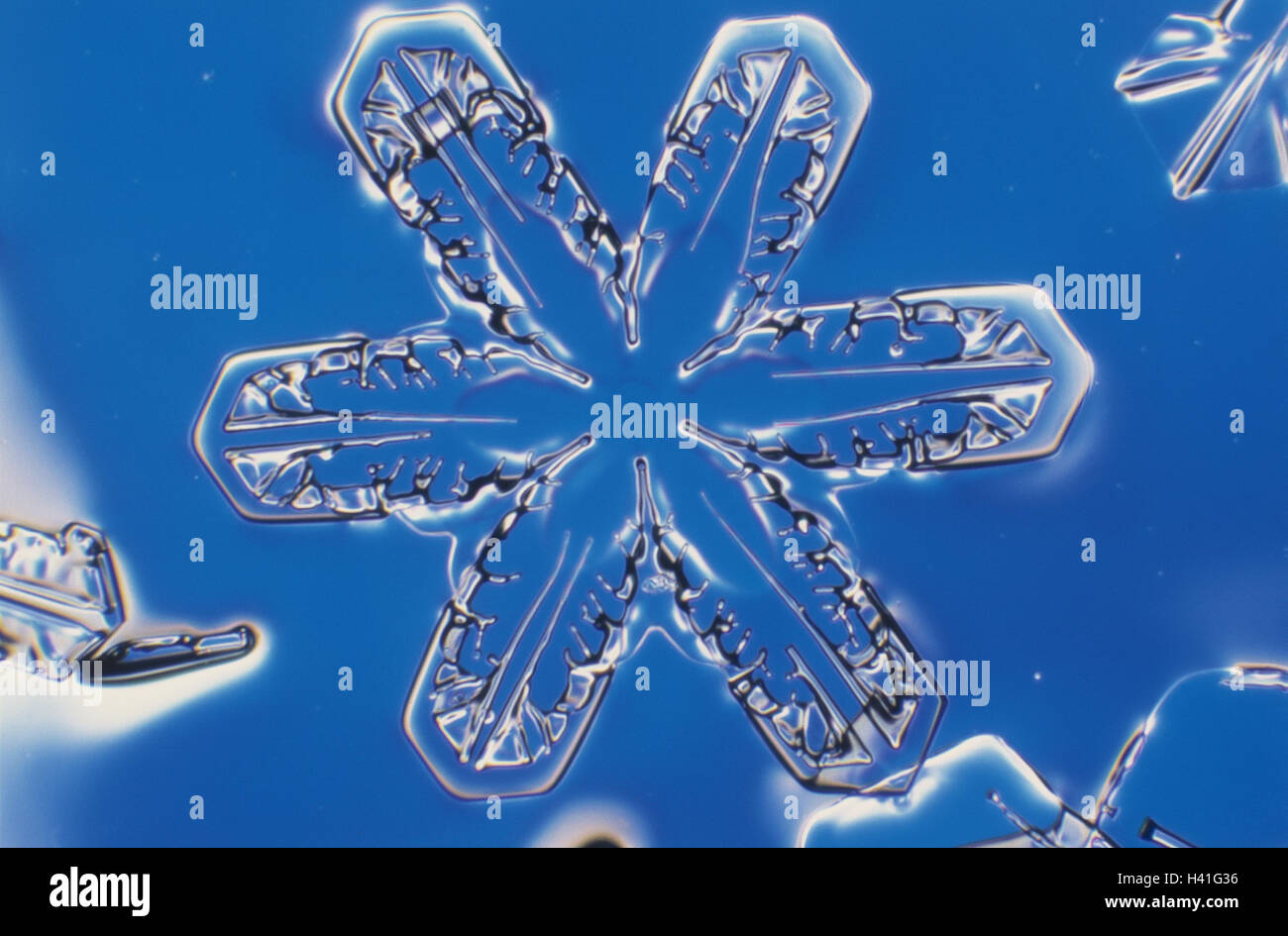 Snow crystal, nature, form, structure, ice, cold, snow, crystal, ice ...