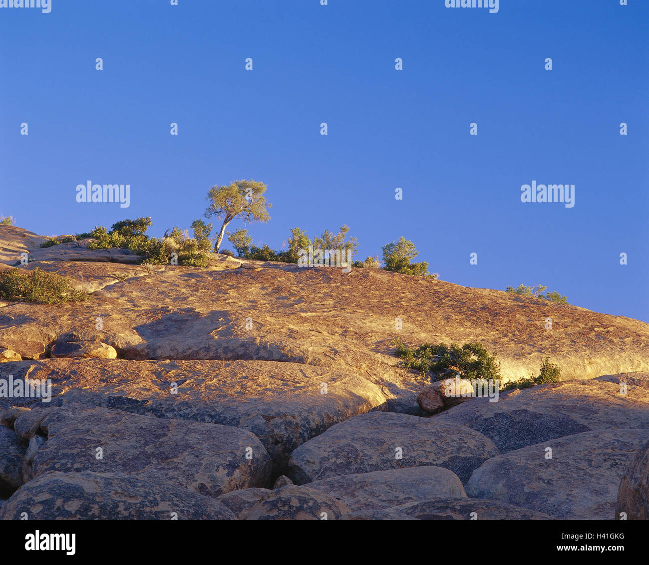 Namibia, Erongo mountains, farm Ameib, bile scenery, "Bull's party ...