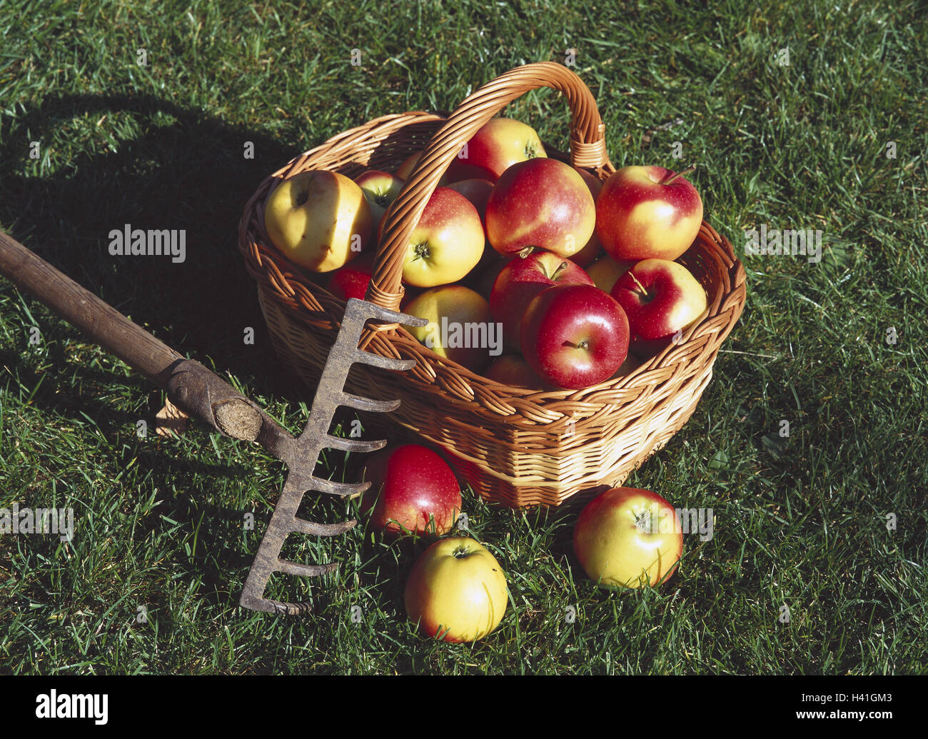 Meadow, basket, apples, rakes, garden, wicker basket, fruit, fruits ...