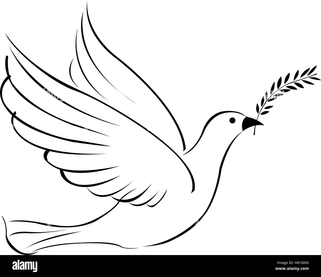 Isolated sketch of a pigeon, Peace vector illustration Stock Vector ...