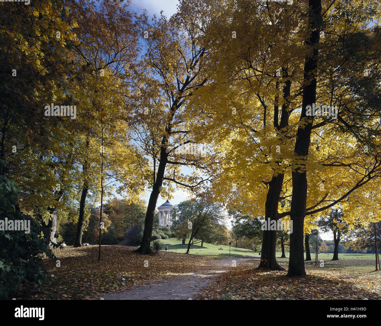English foliage hi-res stock photography and images - Alamy