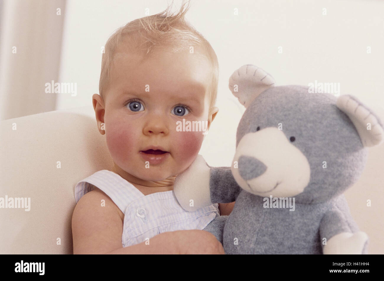 Baby, teddy bear, portrait, inside, child, infant, sit, hold on soft ...