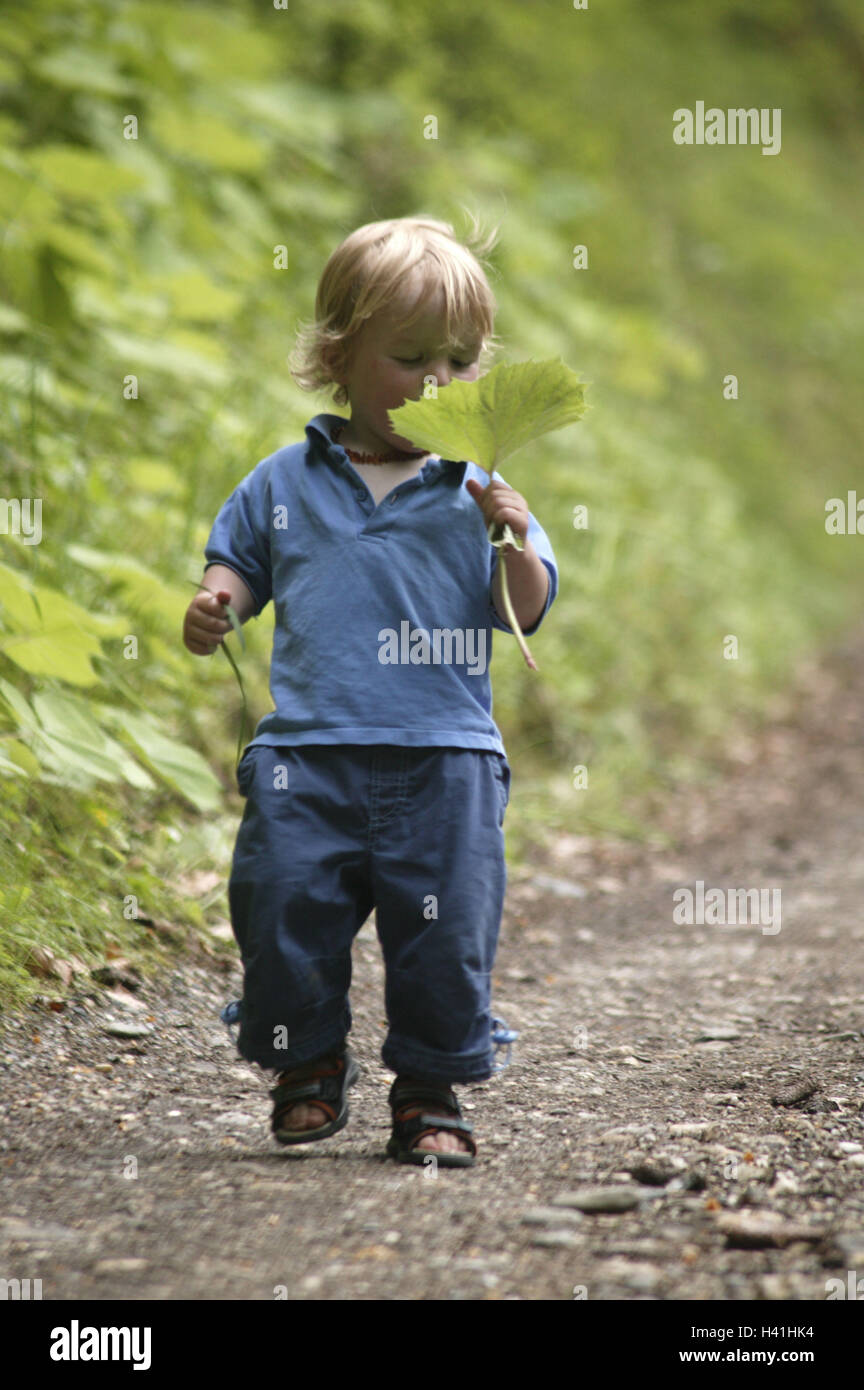 Country lane, boy, go, leaves, child, infant, 1.5 years, walk hold, go ...