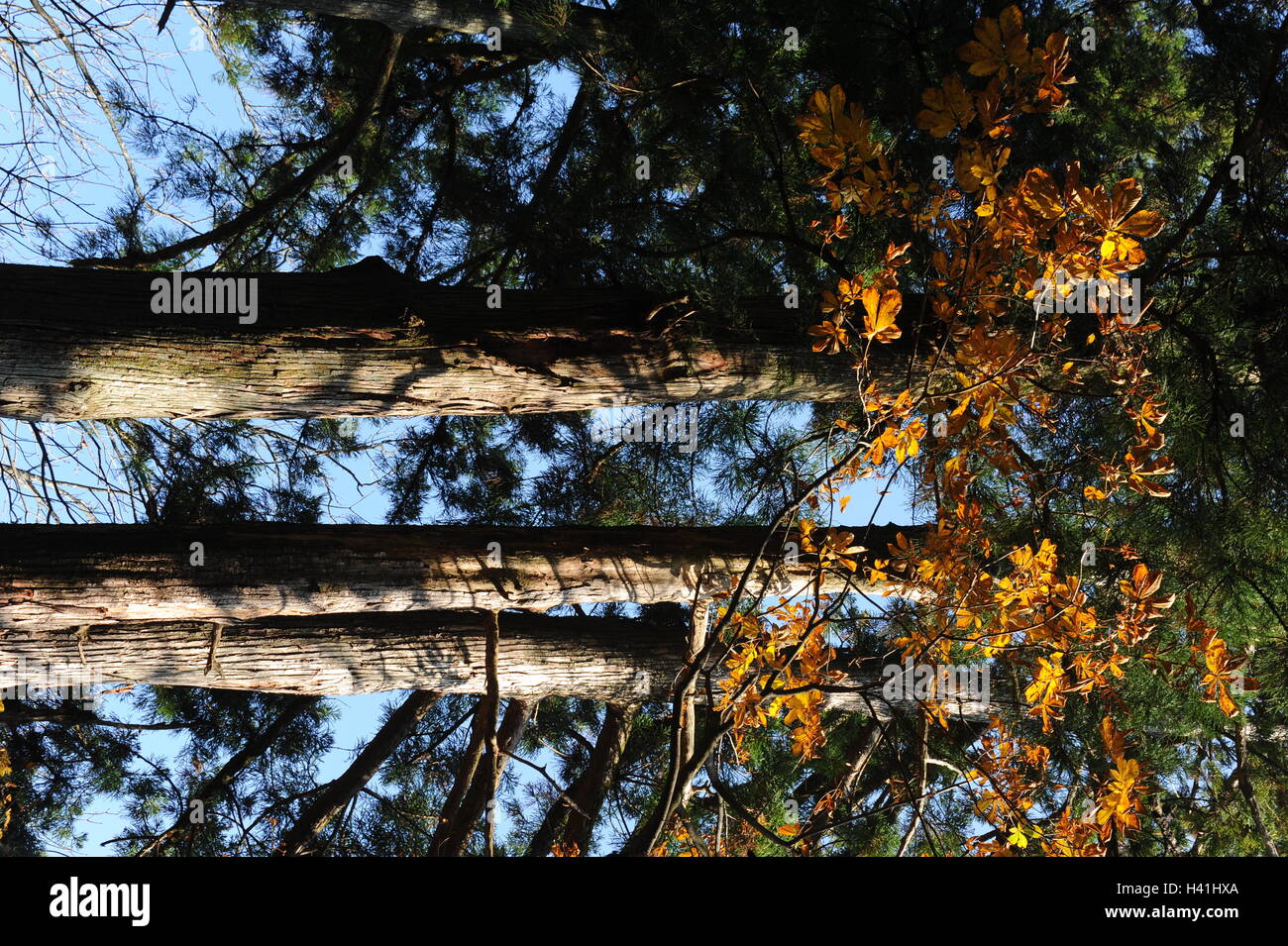 Haruna Shrine Japan Stock Photo - Alamy
