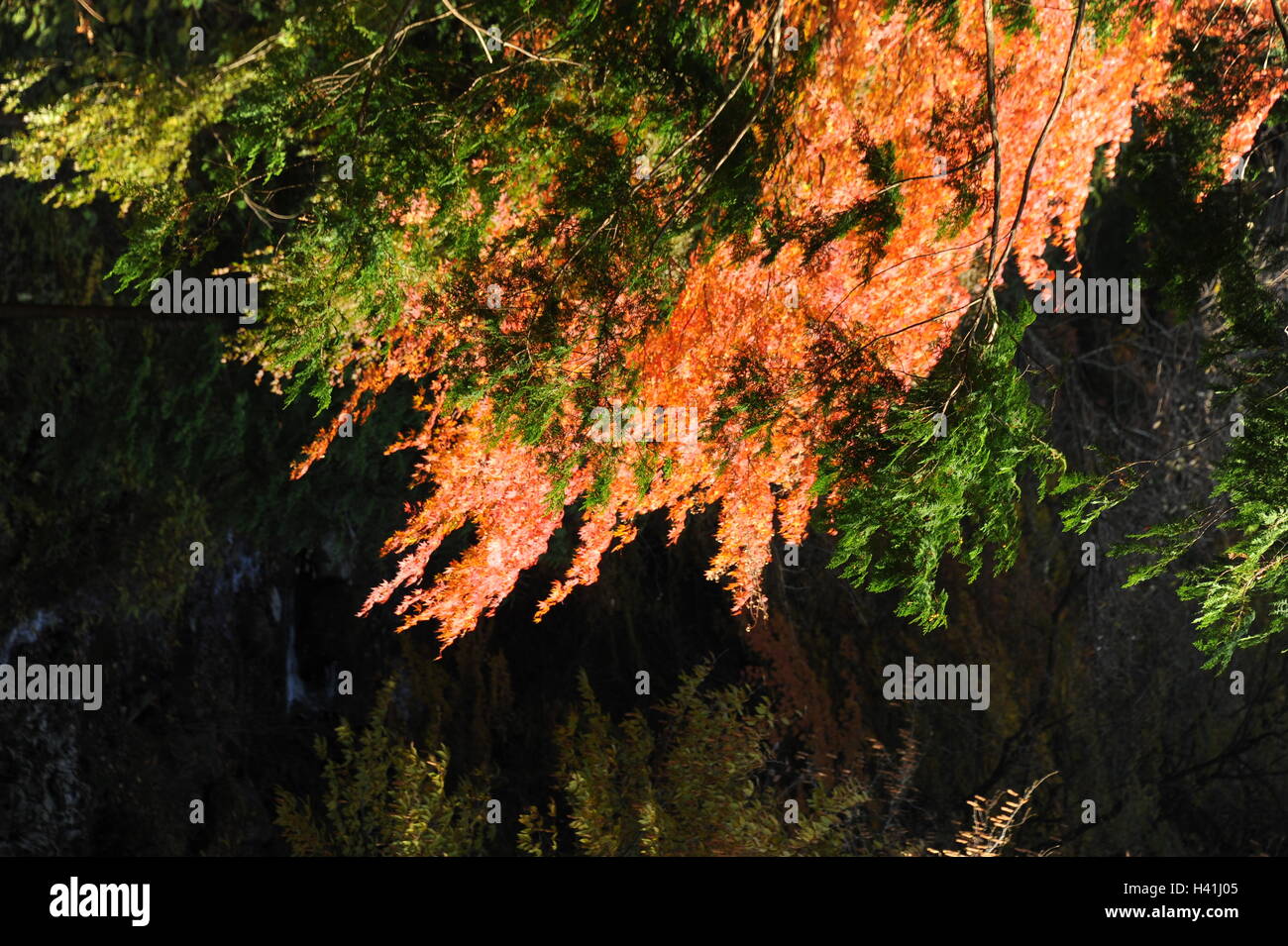 Haruna Shrine Japan Stock Photo - Alamy