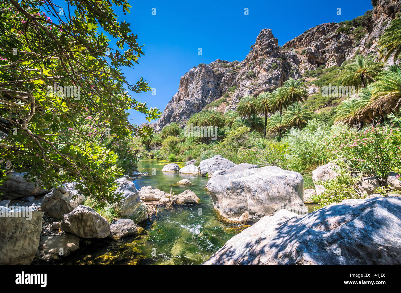 Preveli palm forest in Crete island, Greece. This amazing tropical ...