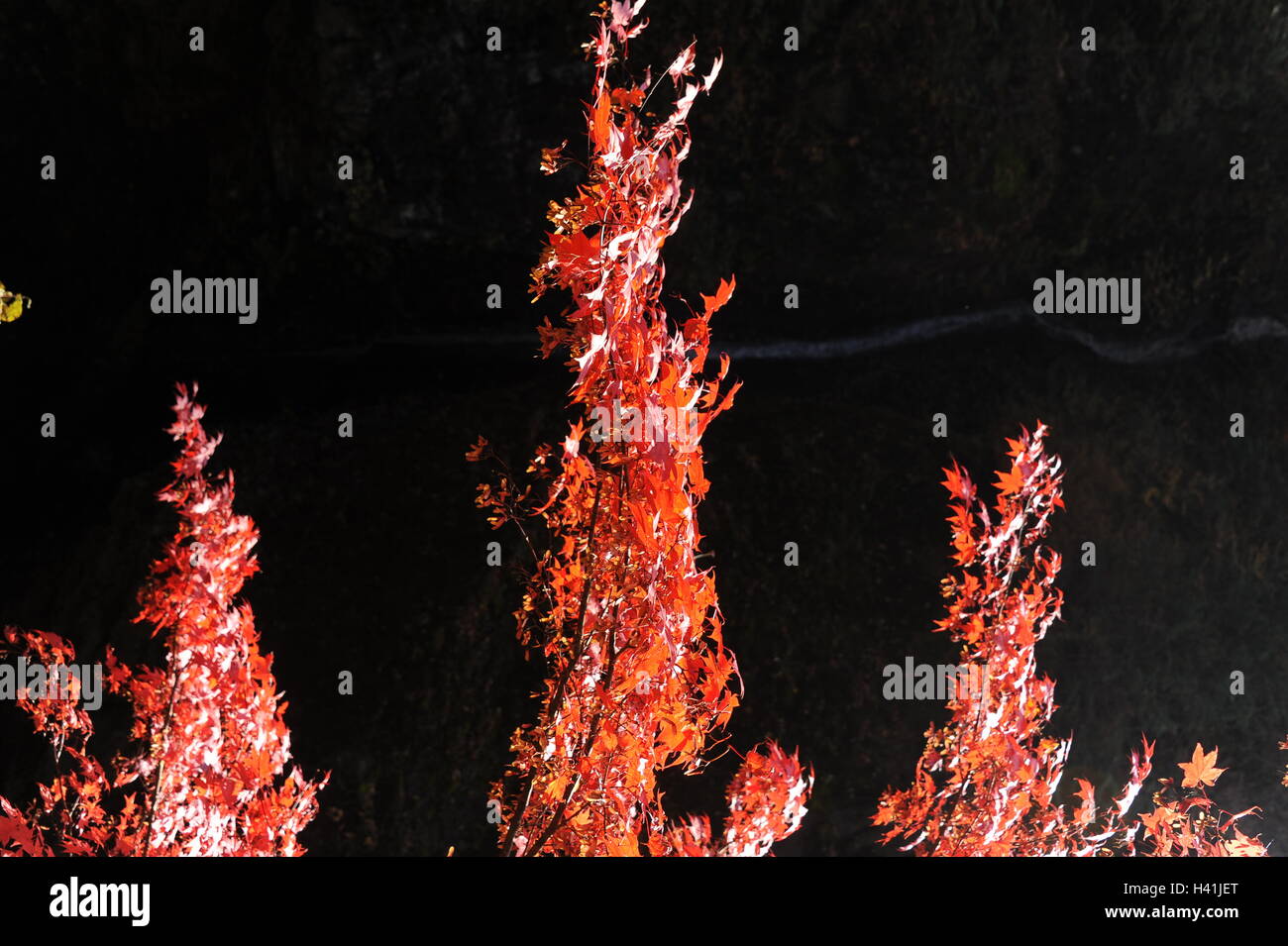 Haruna Shrine Japan Stock Photo - Alamy