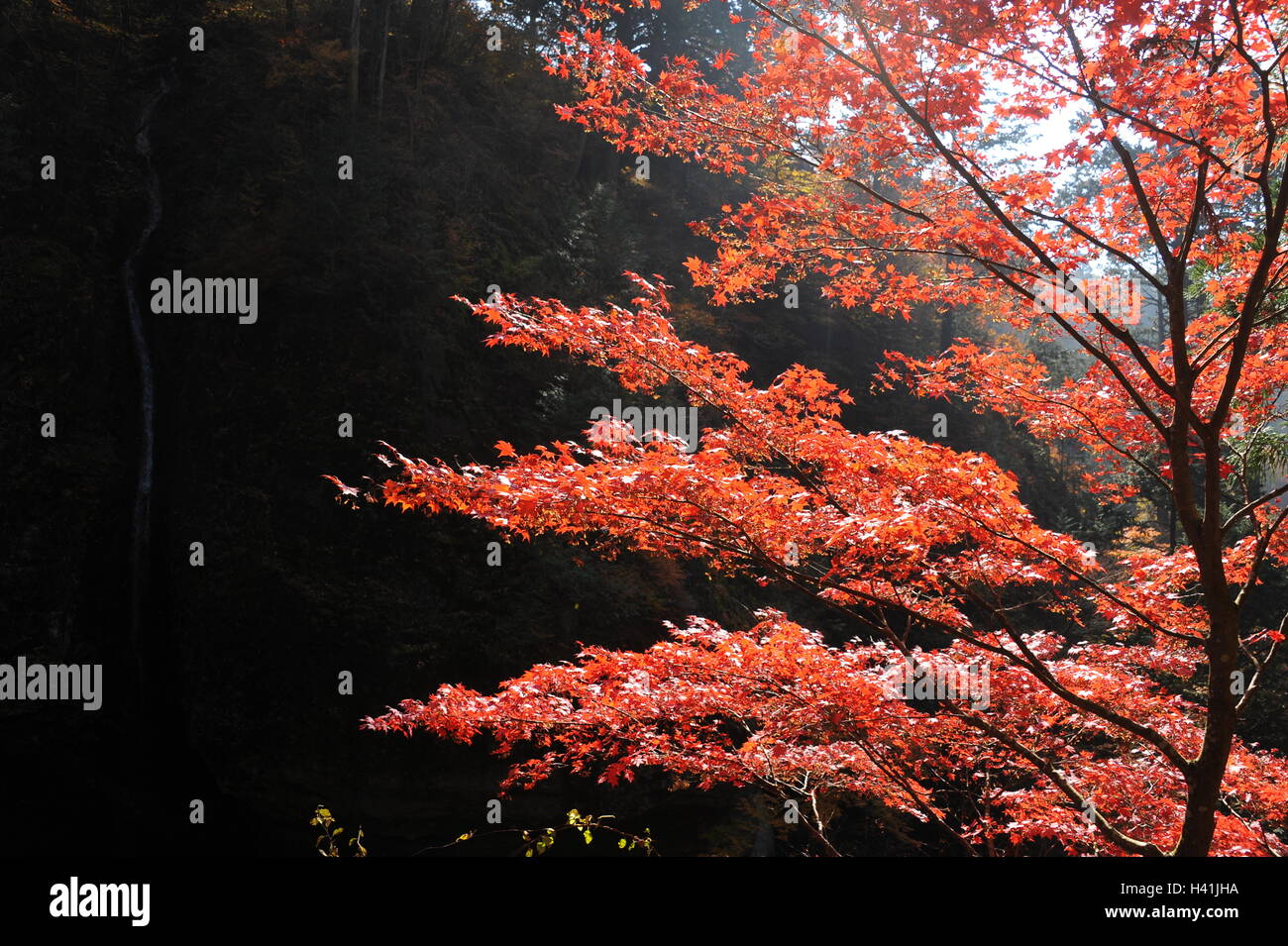Haruna Shrine Japan Stock Photo - Alamy