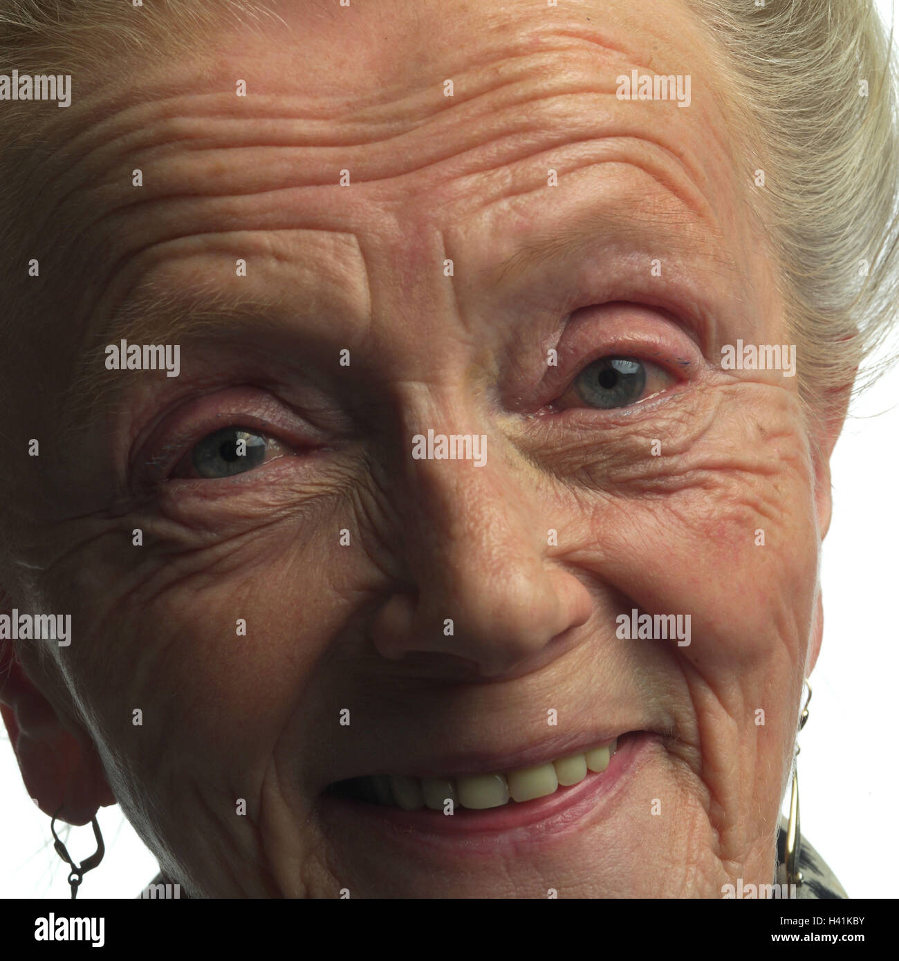 Nasal shell hi-res stock photography and images - Alamy