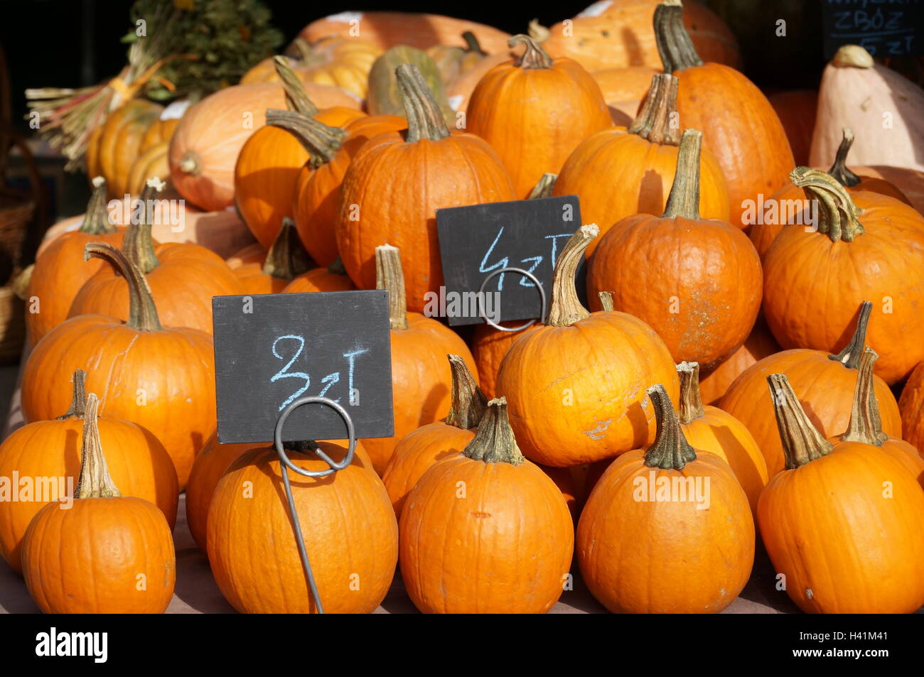 Pumpkin cluster put up for sale Stock Photo - Alamy
