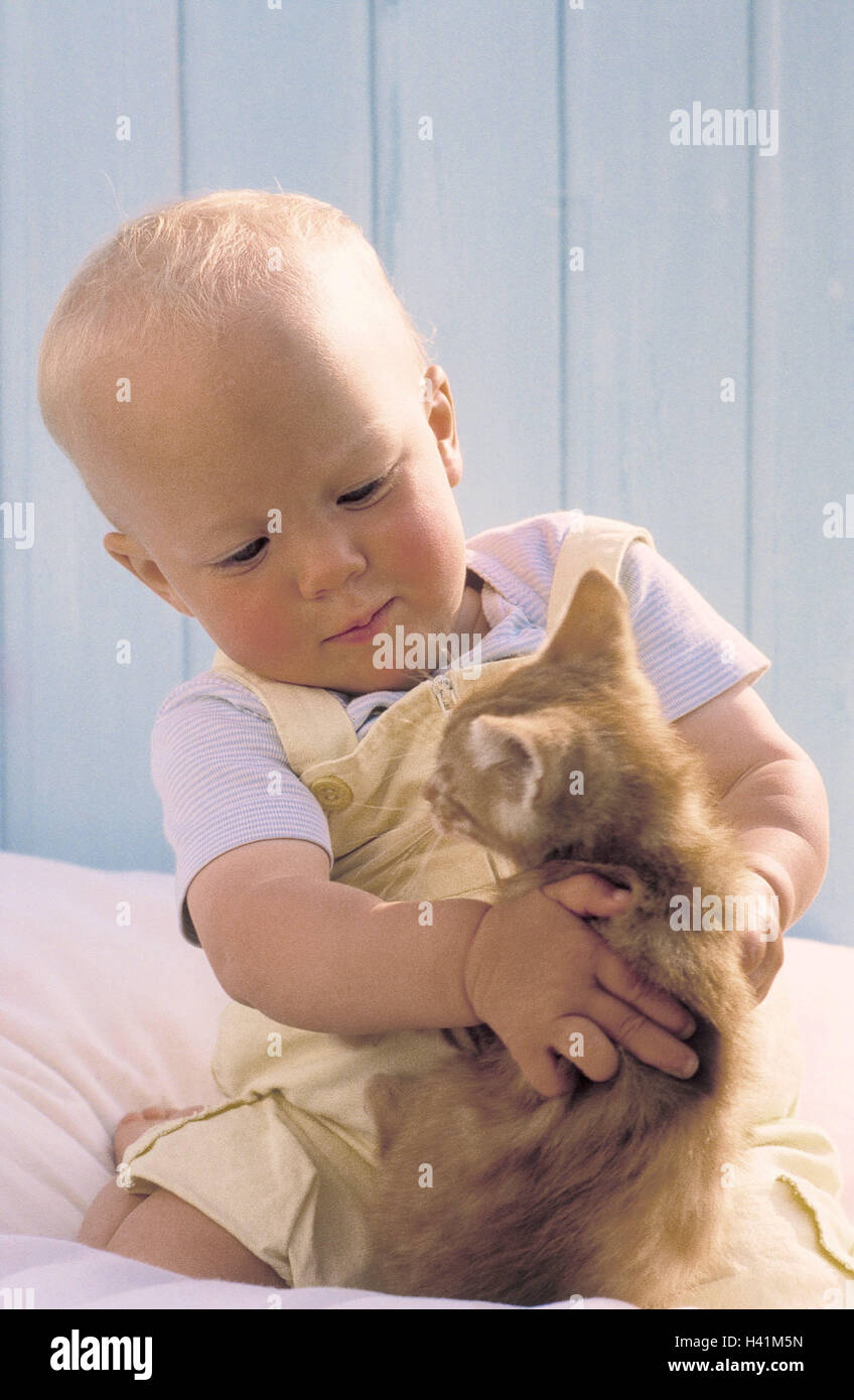 Bed, baby, sit, play kitten, child, infant, 1 year, kneel, childhood ...