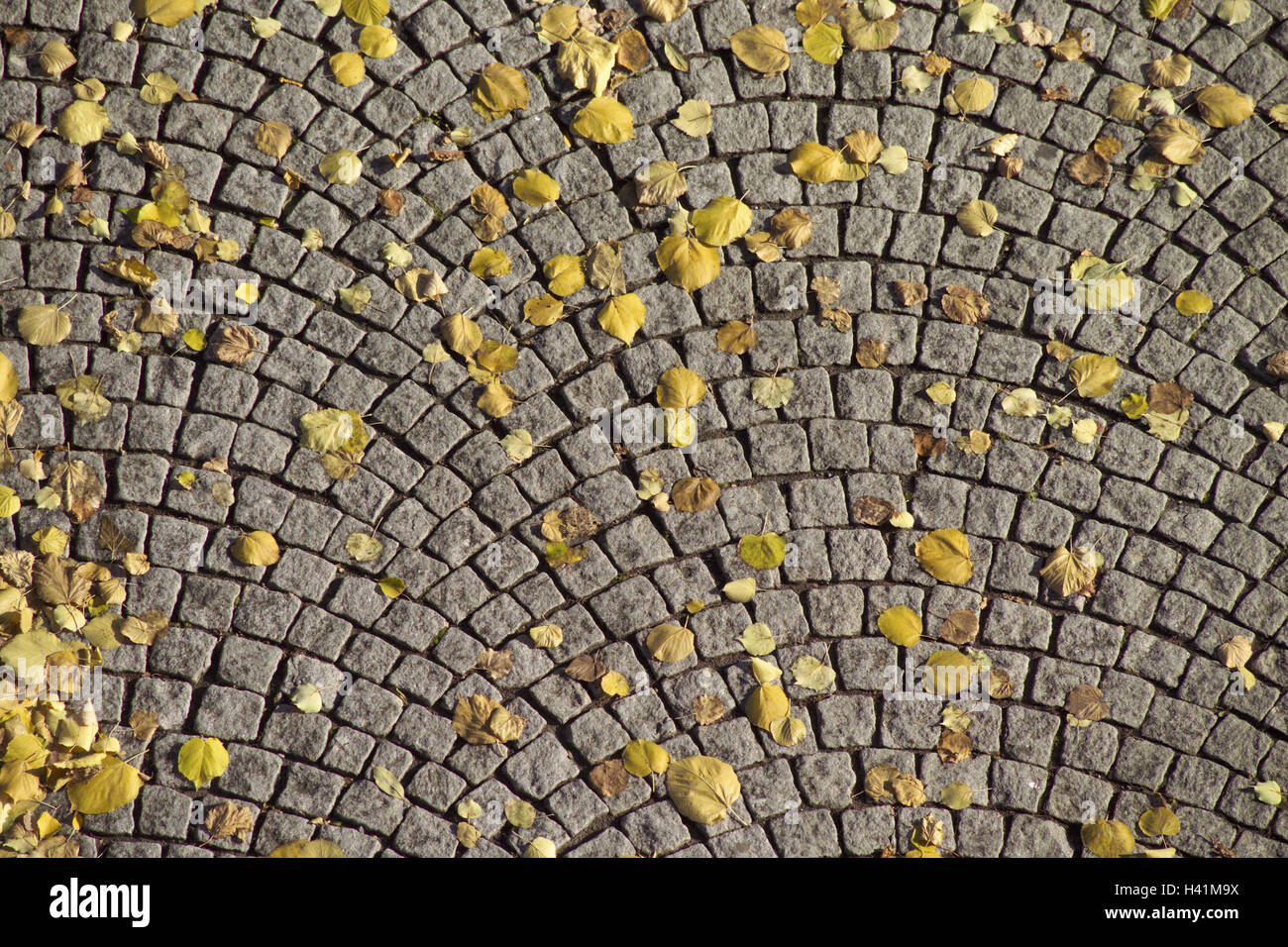 Cobblestones, detail, autumn foliage, street, sidewalk, footpath ...