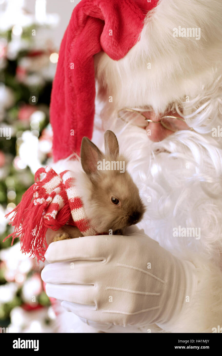 Rabbits and hares hi-res stock photography and images - Alamy