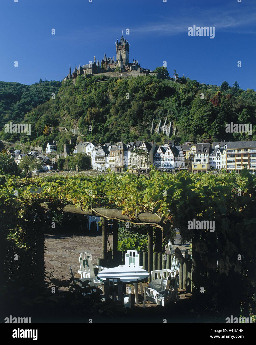 Weinlaufe hi-res stock photography and images - Alamy