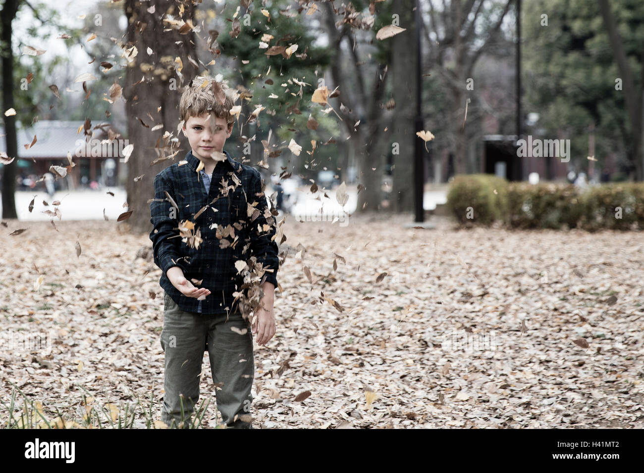 Throwing leaf hi-res stock photography and images - Alamy