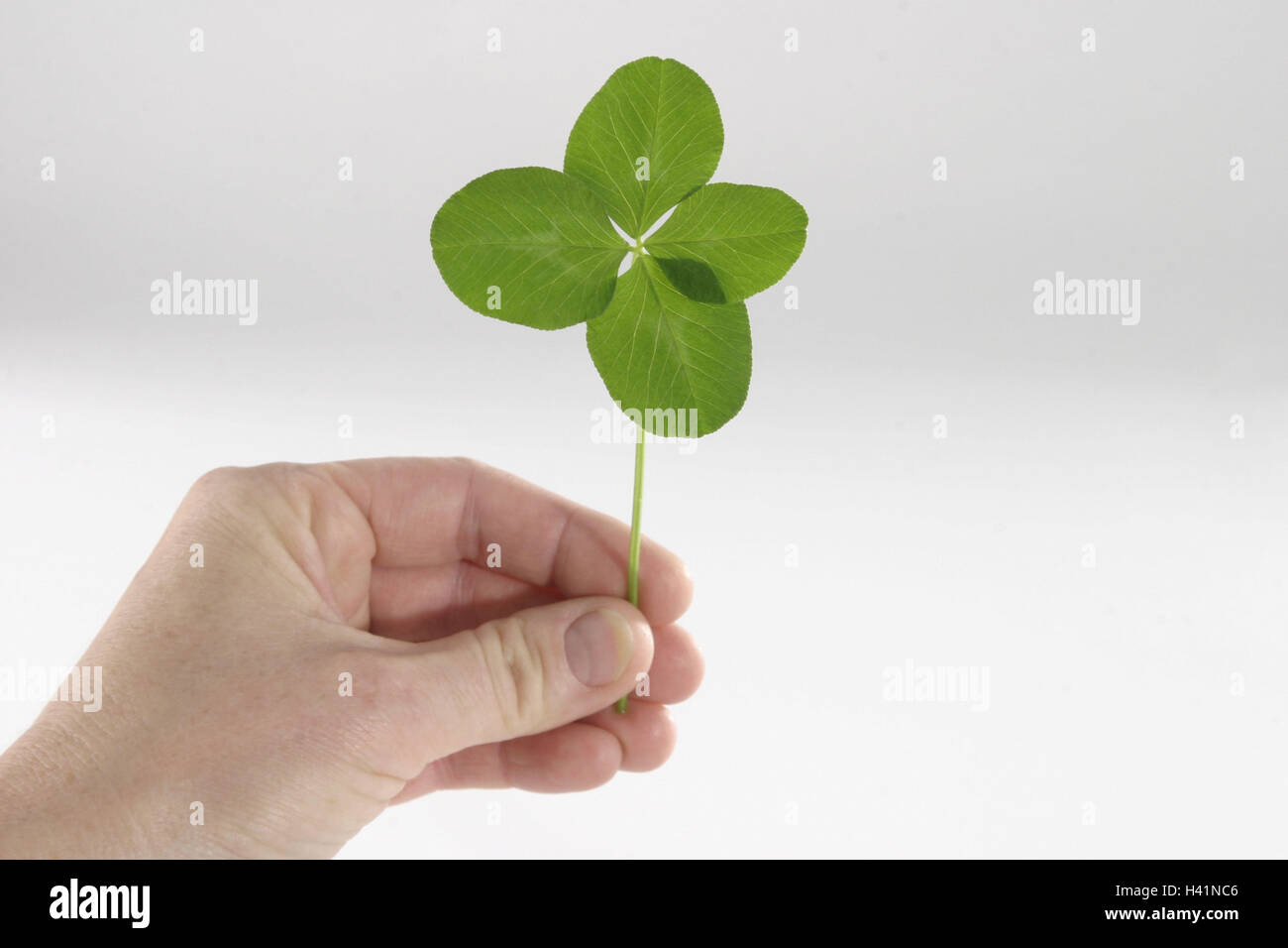 Bringer of good luck hi-res stock photography and images - Alamy