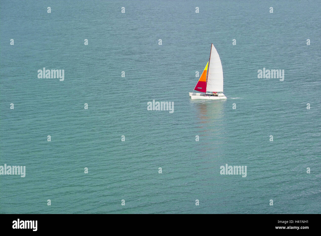 Lake, catamaran, water, water surface, blue, doubles body boat, vessel ...