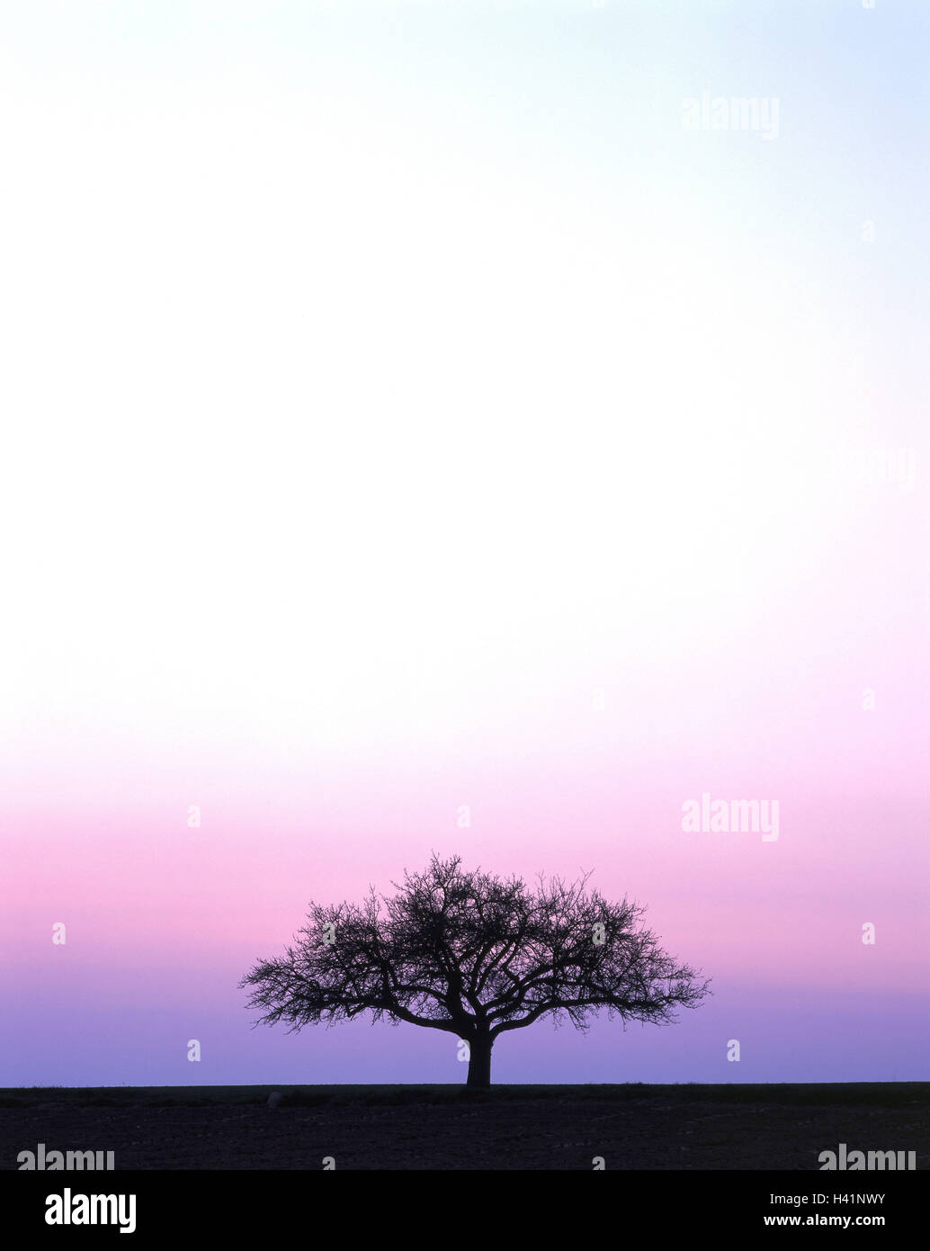 Silhouette Solitaire High Resolution Stock Photography and Images - Alamy