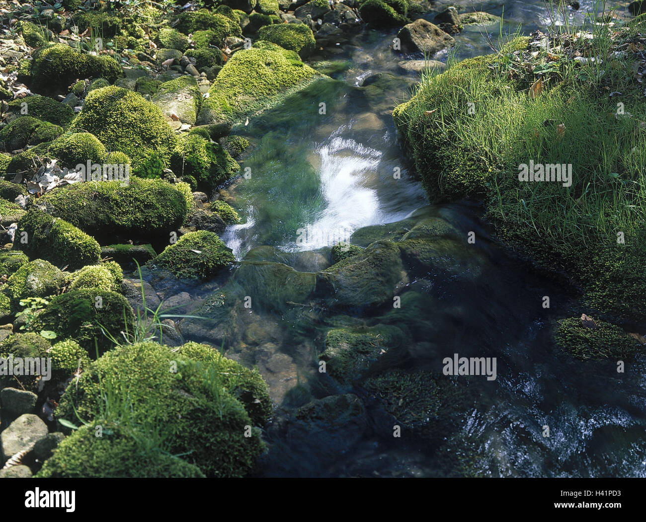 Moss brook hi-res stock photography and images - Alamy