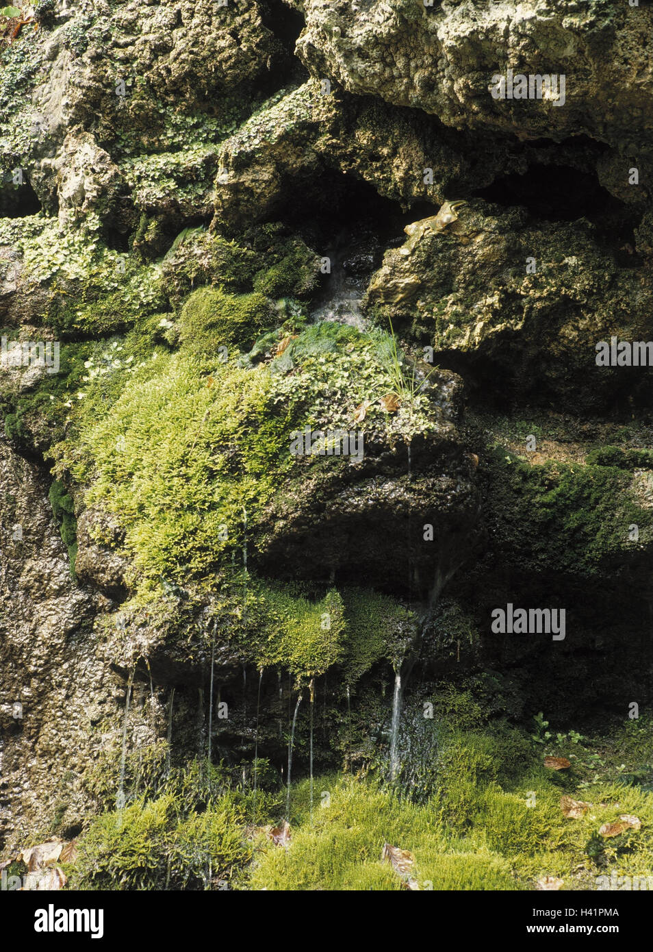 Rocks, bemoost, waterfall, cliff face, tuff stone, bile, moss, water ...