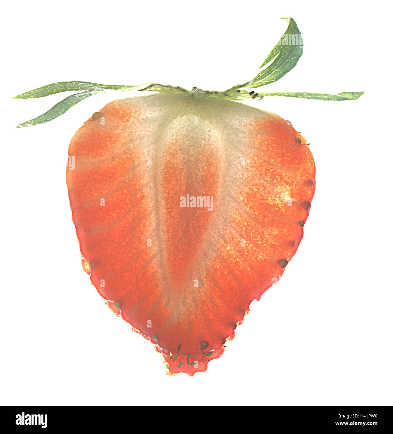 Strawberry slice, close up, strawberry, slice, flesh, cross section ...