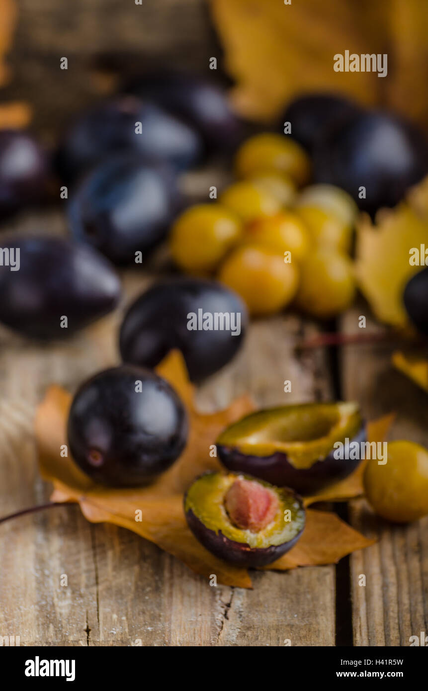 Freshly picked and washed plums from bio garden in basket Stock Photo ...