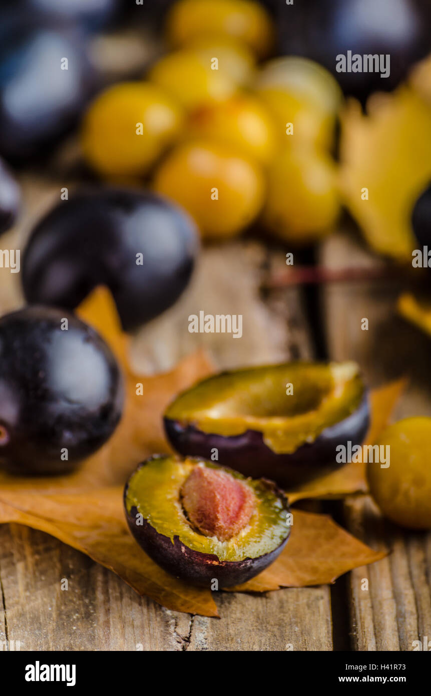 Freshly picked and washed plums from bio garden in basket Stock Photo ...