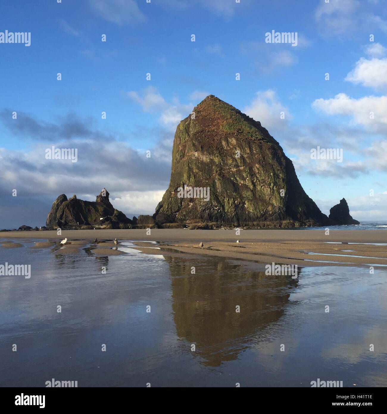 Haystack Rock, Cannon Beach, Oregon, United States Stock Photo - Alamy