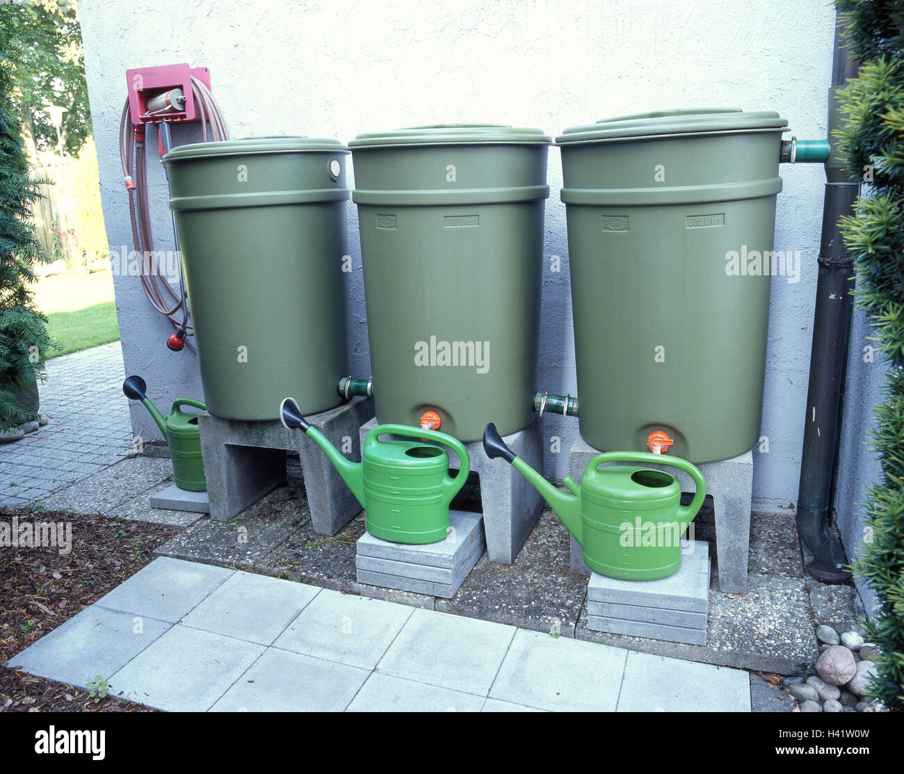 Rainwater tonnes, watering cans, three, green, water hose, outside wall ...