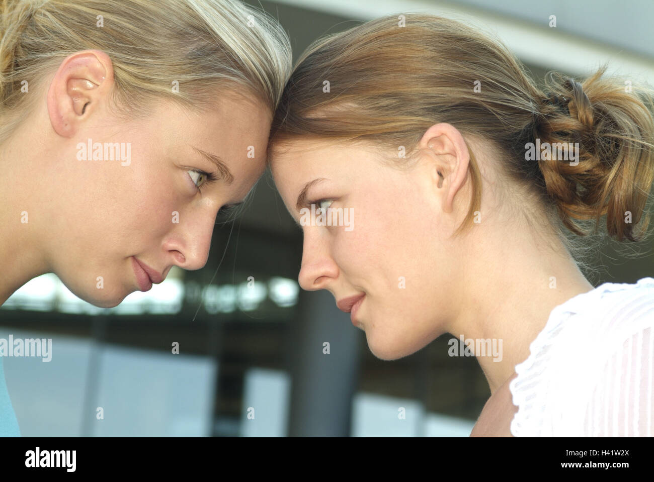 University, students, seriously, forehead, in forehead, eye contact ...