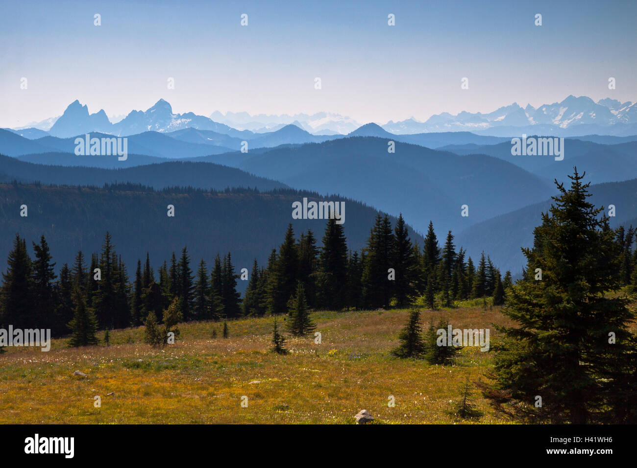 Manning park hi-res stock photography and images - Alamy