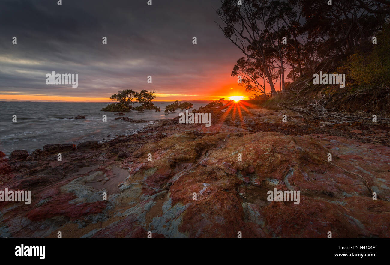 Tenby Point Sunrise, Victoria, Australia Stock Photo - Alamy