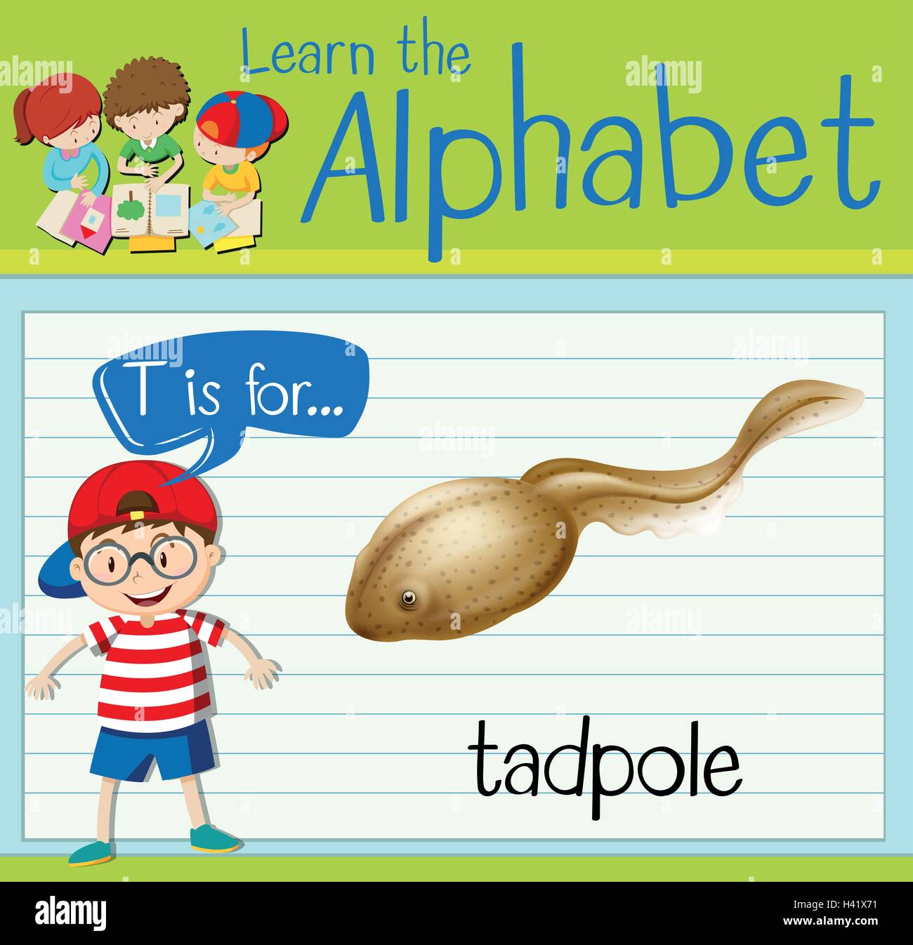 Flashcard letter T is for tadpole illustration Stock Vector Image & Art ...