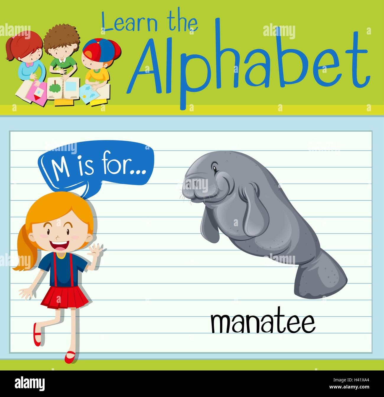 Flashcard letter M is for manatee illustration Stock Vector Image & Art ...