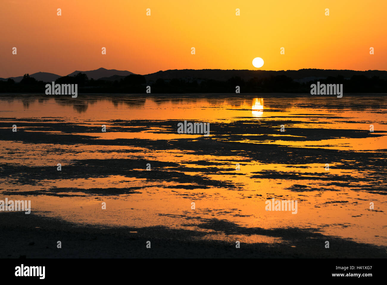 Pink flamingos at sunset hi-res stock photography and images - Alamy