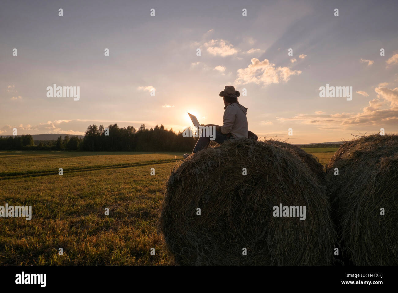 Mari man sitting on hay bale at sunset using laptop Stock Photo - Alamy