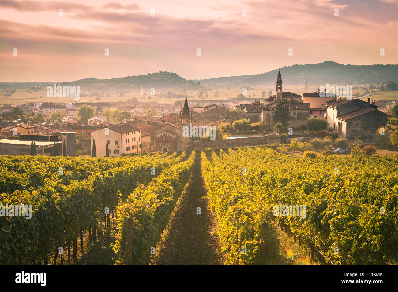 View of Soave (Italy) surrounded by vineyards that produce one of the ...